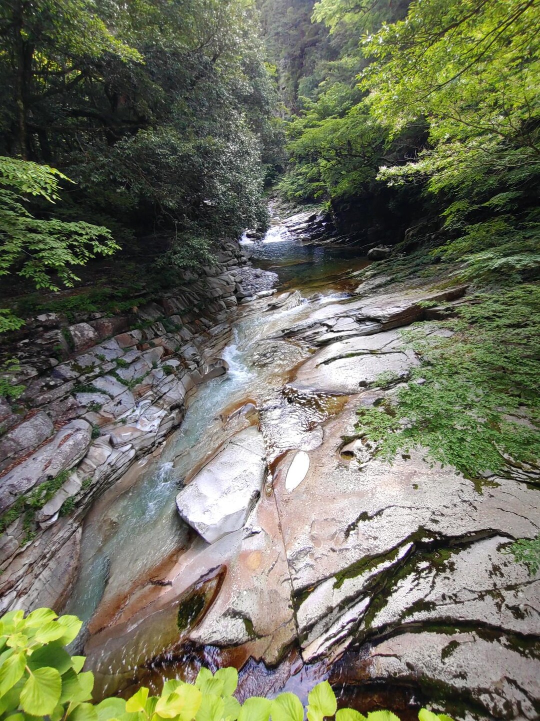 面河〜石鎚山へGo🗻 / Tom Ookaさんの石鎚山・堂ヶ森・二ノ森の活動データ | YAMAP / ヤマップ