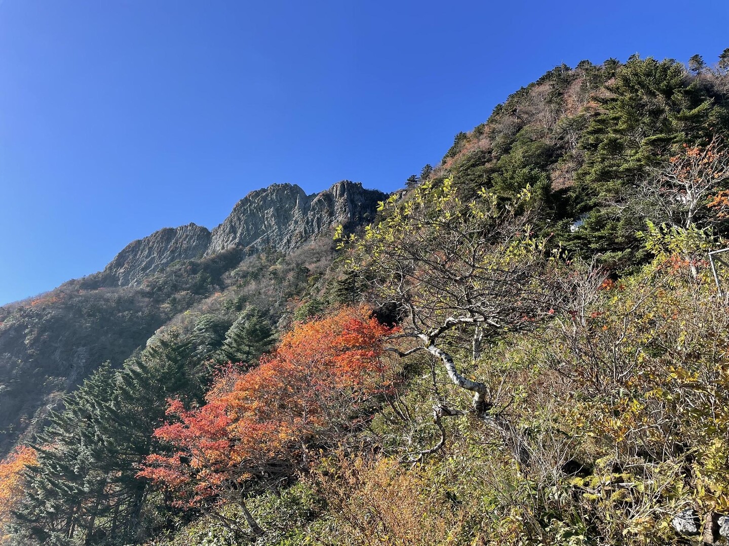 石鎚山 大混雑の紅葉登山🍁 / ジュレップ806さんの石鎚山・堂ヶ森・二ノ森の活動データ | YAMAP / ヤマップ