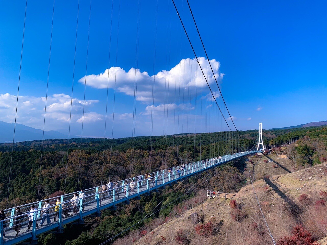 東海道五十三次 (箱根関所→三島) / yossyさんの東海道五十三次 (小田原宿・箱根宿・三島宿)の活動データ | YAMAP / ヤマップ