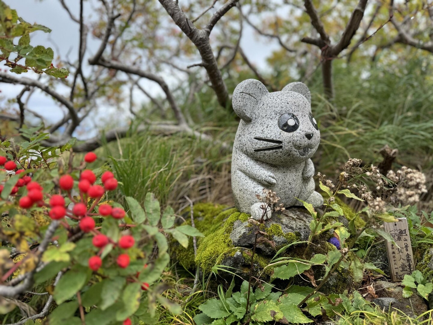 御嶽山（剣ヶ峰） / やまのりさんの御嶽山・継子岳・摩利支天山の活動データ | YAMAP / ヤマップ
