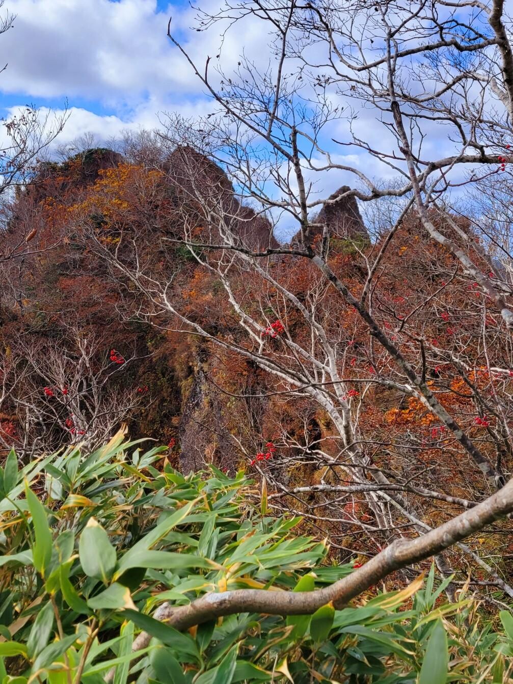 小鉾岳お(こ)ぼこだけ / 原っぱさんの小鉾岳の活動データ | YAMAP / ヤマップ
