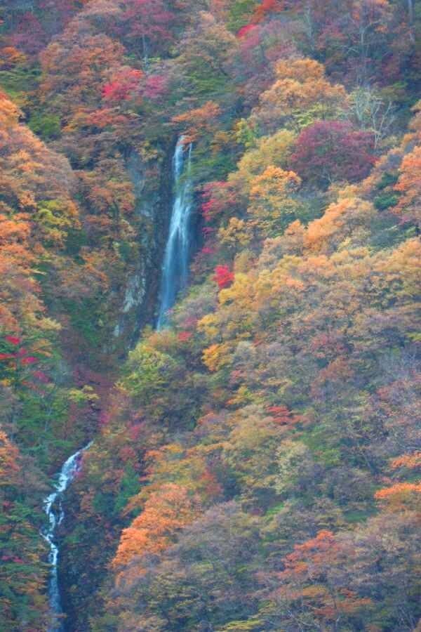昔の山歩き、2010年編をUP中です、秋... / Tona.Yamahasi.E.Sanpoさんのモーメント | YAMAP / ヤマップ