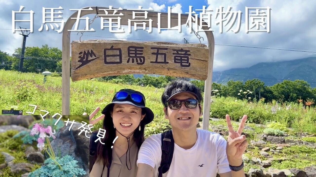 白馬五竜高山植物園の動画を作りました！コ... / Georgeさんのモーメント | YAMAP / ヤマップ