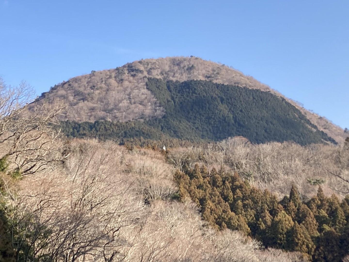 矢倉岳 / taka.run-skiさんの金時山・明神ヶ岳の活動データ | YAMAP / ヤマップ