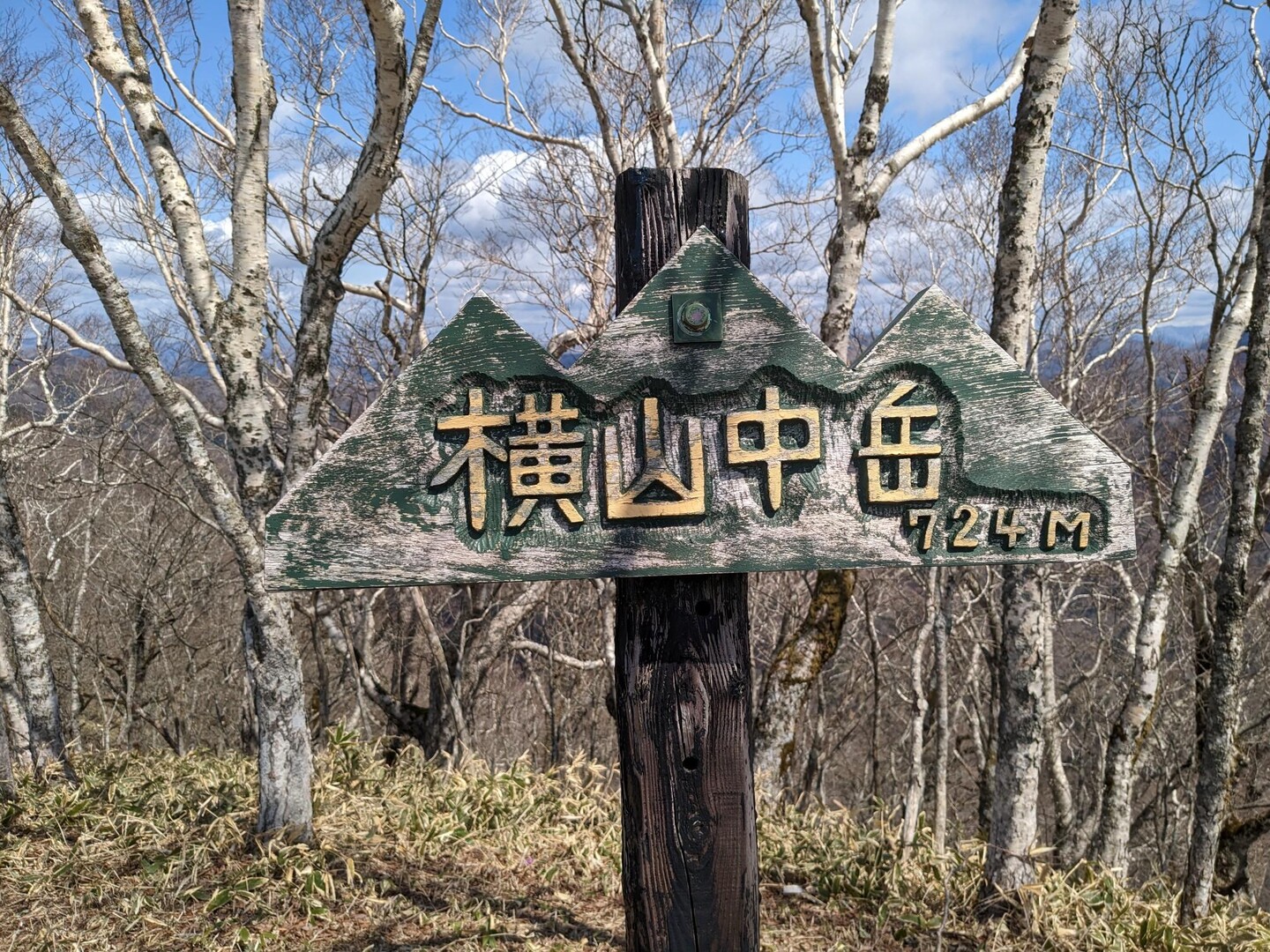 横山中岳・南横山 / KANA さんの横山中岳の活動データ | YAMAP / ヤマップ