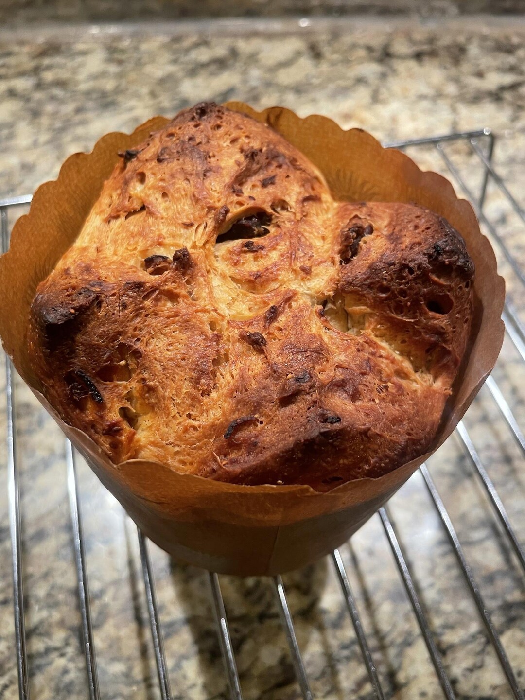 クリスマスの時期にイタリアで よく食べら... / SORAさんのモーメント | YAMAP / ヤマップ