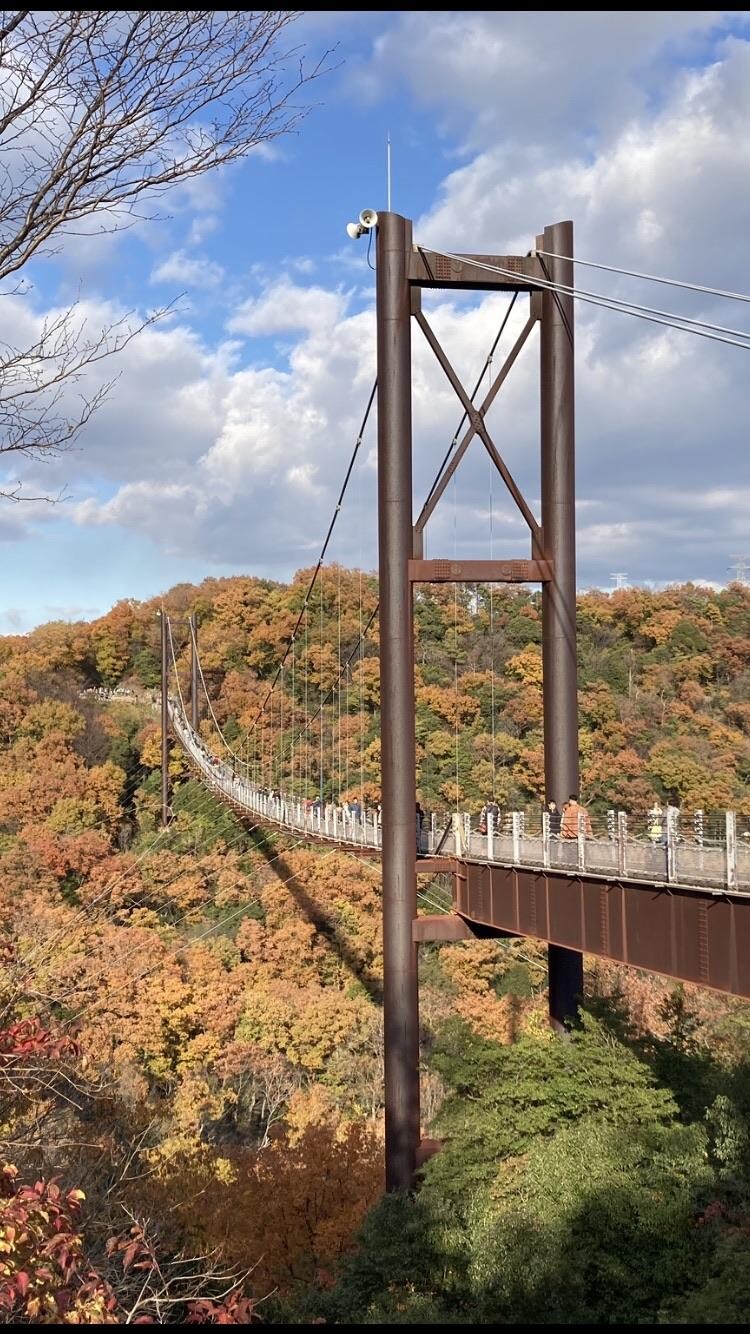 吊り橋なのに星のブランコ ずっーと気にな... / ikukoさんのモーメント | YAMAP / ヤマップ