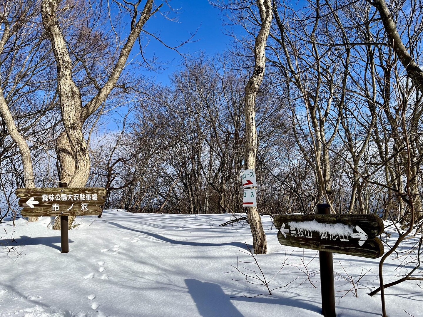 癒しのホーム櫛形山へ😊 / w823hさんの櫛形山・鳥坂山・大峰山（櫛形山脈）の活動データ | YAMAP / ヤマップ