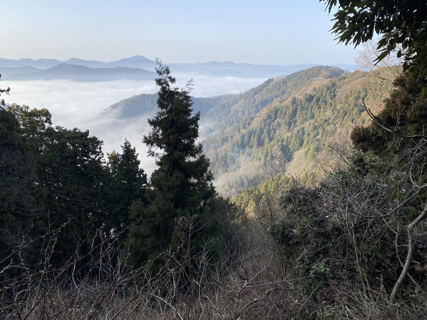 文殊山・文殊山（奥の院）・橋立山 / mu_mu_muさんの文殊山の活動データ | YAMAP / ヤマップ