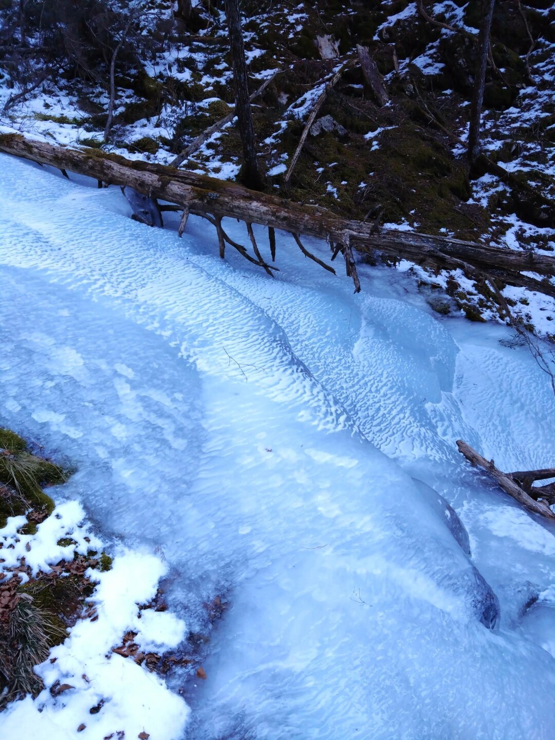 上手く撮れてないんだけど、 アナと雪の女... / kmk-nさんのモーメント | YAMAP / ヤマップ