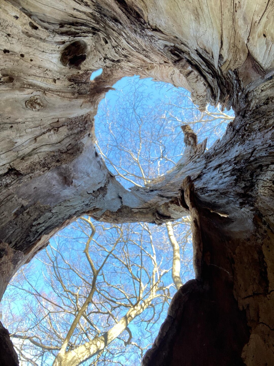 蛇台蕃山・西風蕃山・蕃山・萱ヶ崎山・太白山 / kung-fu 「 fu ~ 」さんの太白山・萱ヶ崎山・蕃山の活動データ | YAMAP / ヤマップ