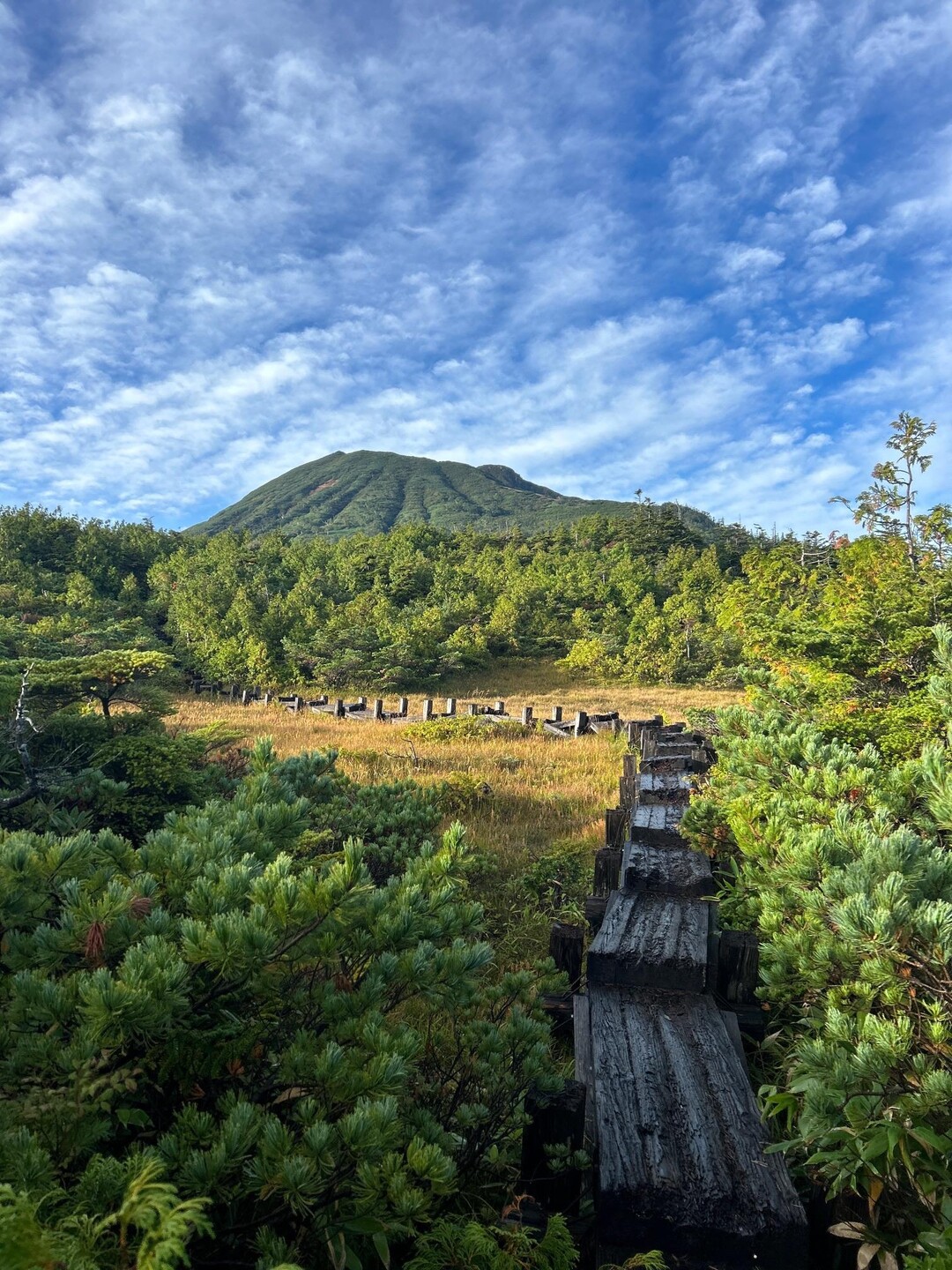 俎嵓・燧ヶ岳(柴安嵓)・ミノブチ岳 / ritocotoさんの尾瀬・燧ヶ岳の活動データ | YAMAP / ヤマップ