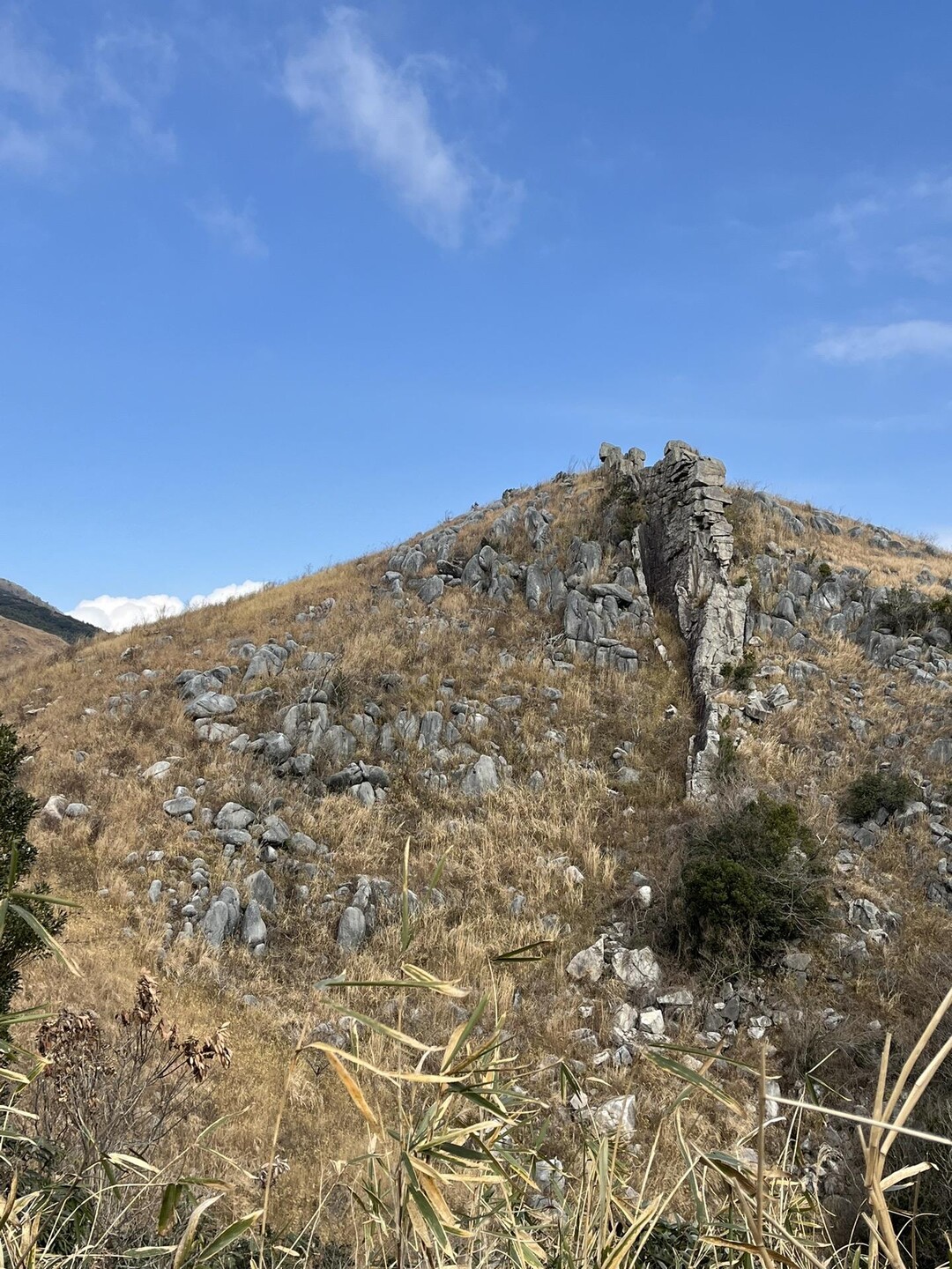地下に棲む生き物@青龍窟in平尾台 / saiさんの平尾台・貫山・水晶山の活動データ | YAMAP / ヤマップ