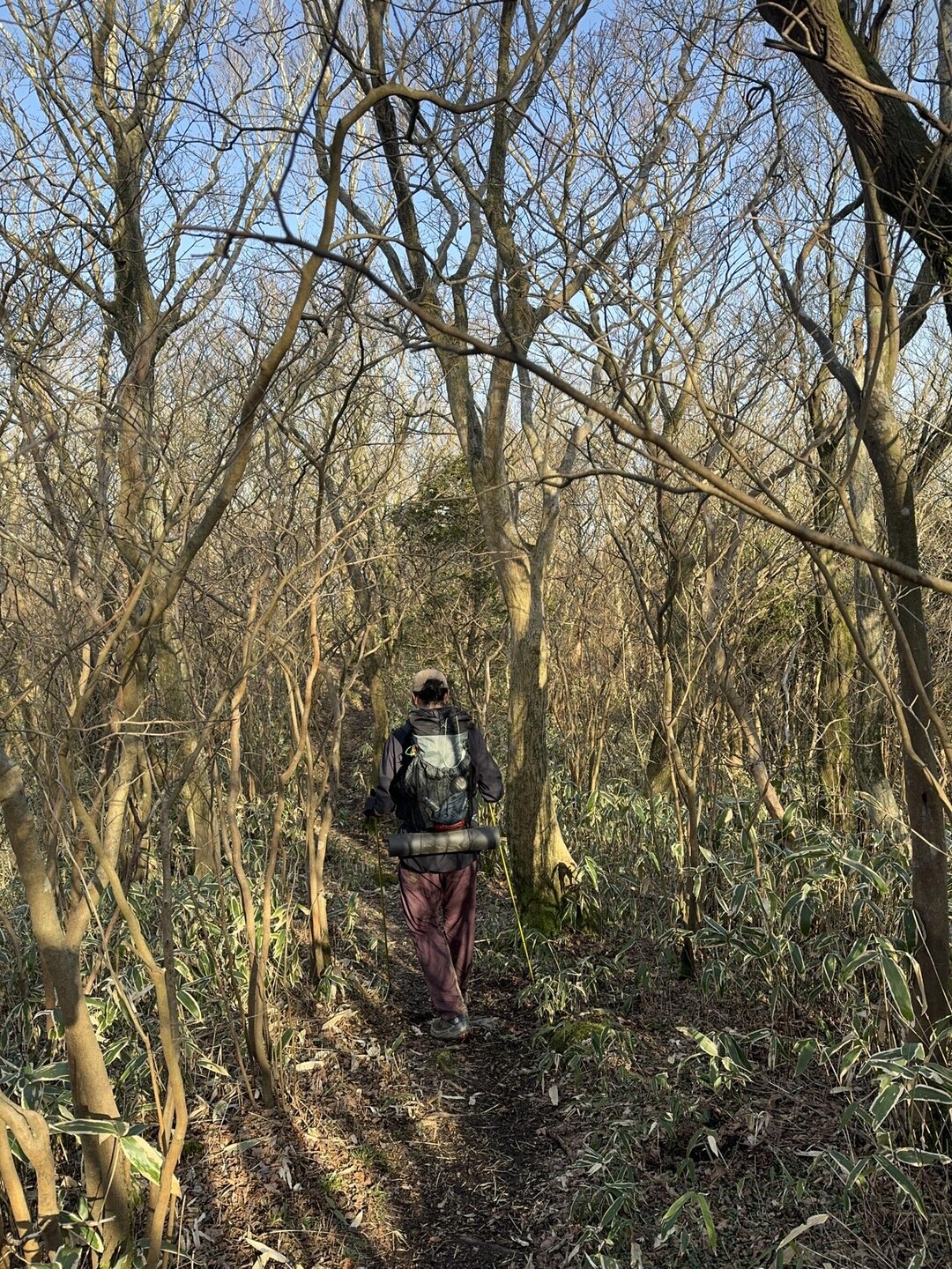 背振全山2Days / Tadashiさんの脊振山・金山の活動データ | YAMAP / ヤマップ