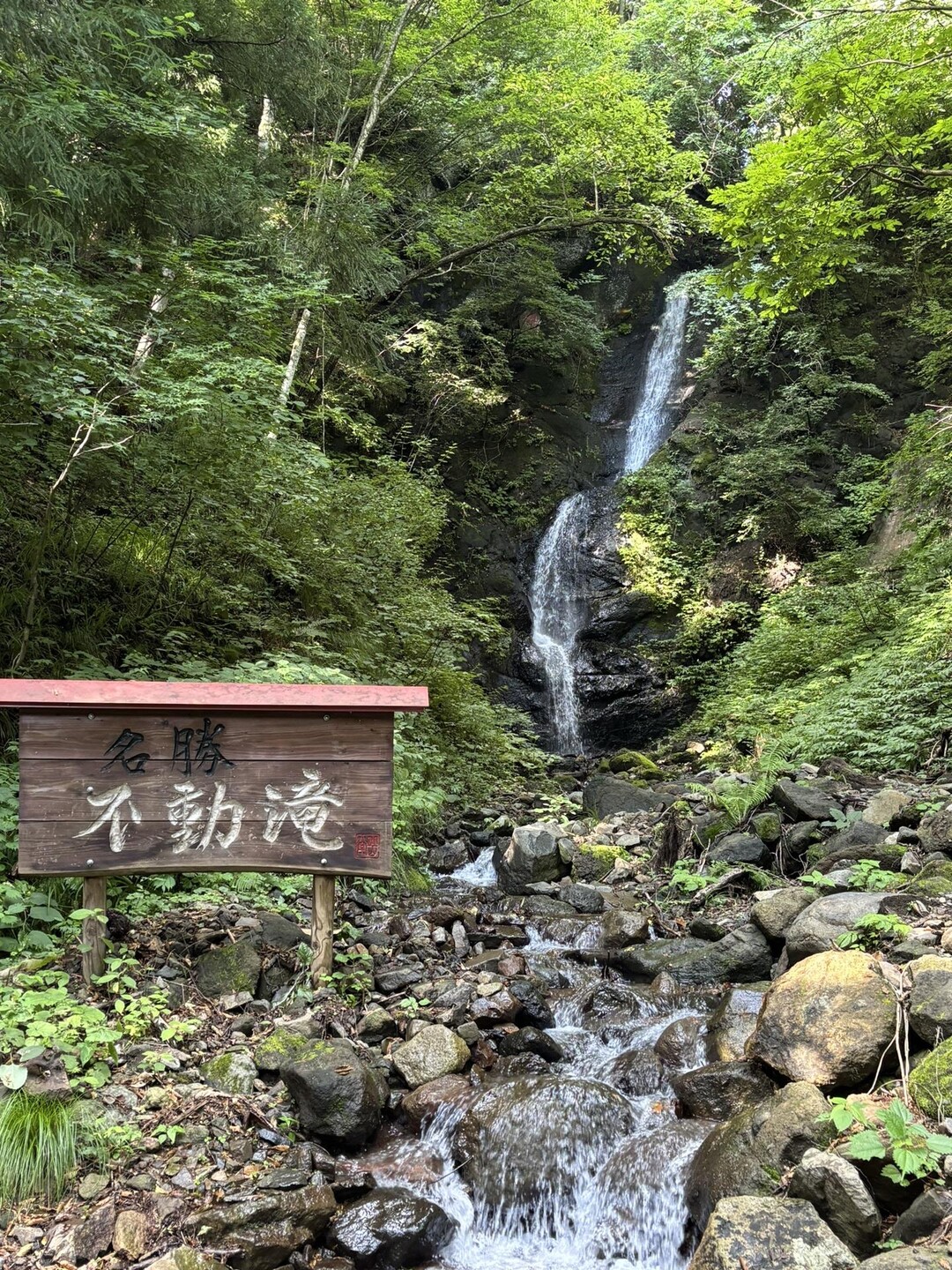 虫倉山 / やまちんさんの砂鉢山・虫倉山の活動データ | YAMAP / ヤマップ