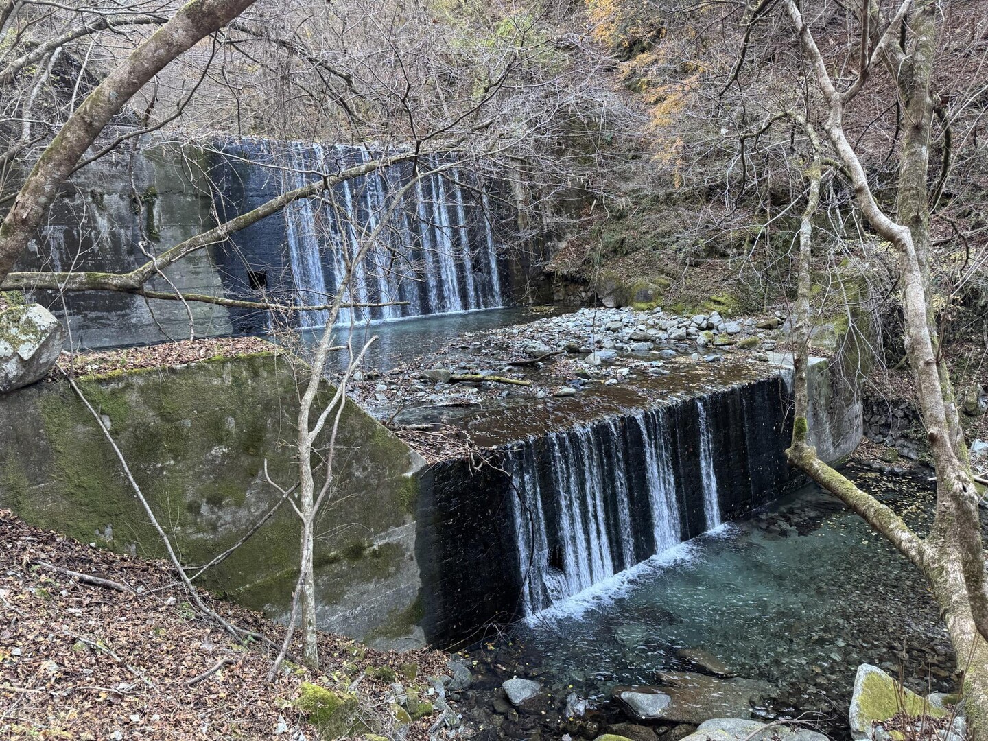 檜洞丸〜犬越路周回（西丹沢VC🅿️） / としろ〜さんの大室山・畦ヶ丸山・菰釣山の活動データ | YAMAP / ヤマップ
