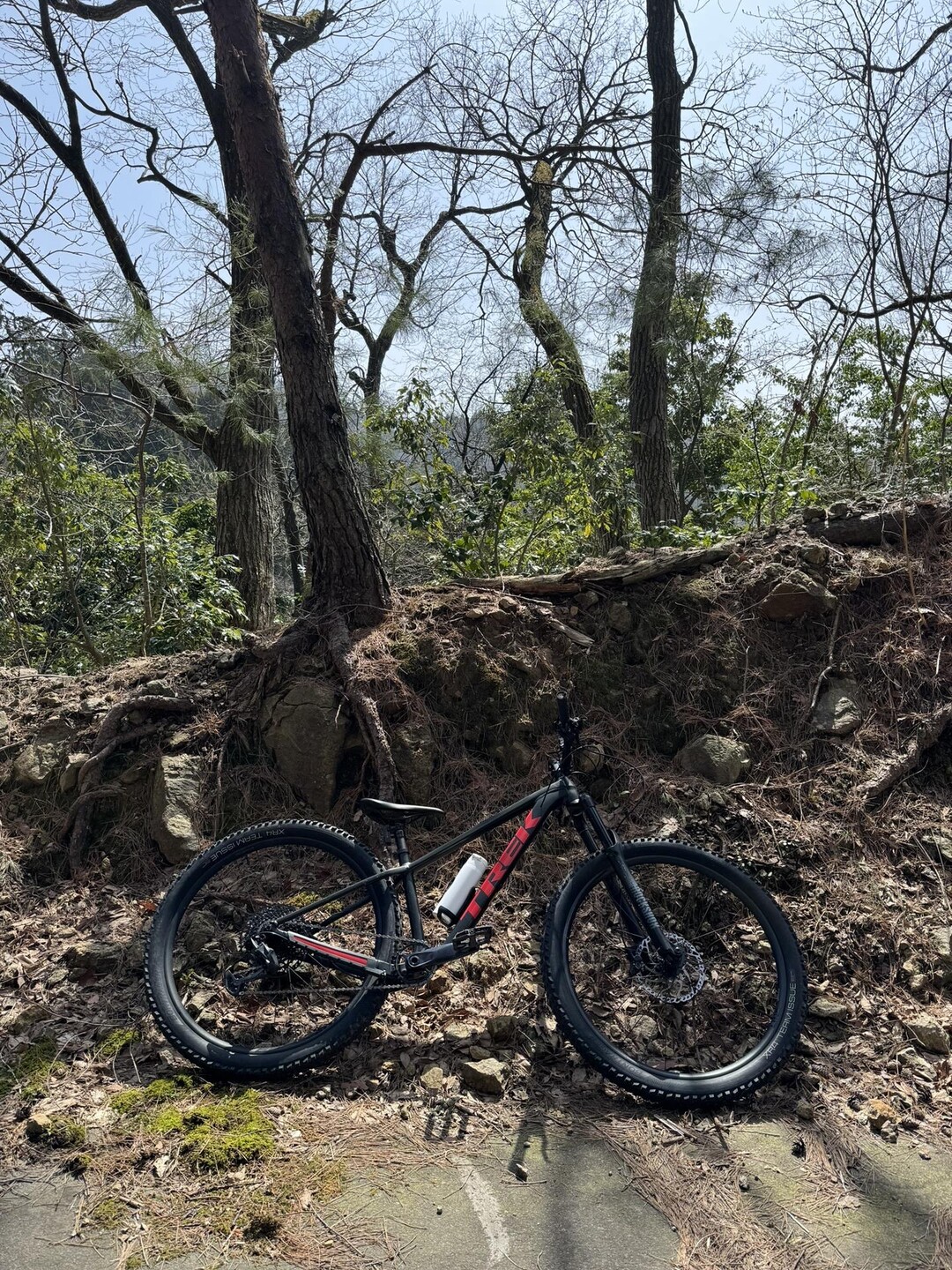 大仏林道をMTBでのんびり走りました / カズさんのランニングの活動データ | YAMAP / ヤマップ