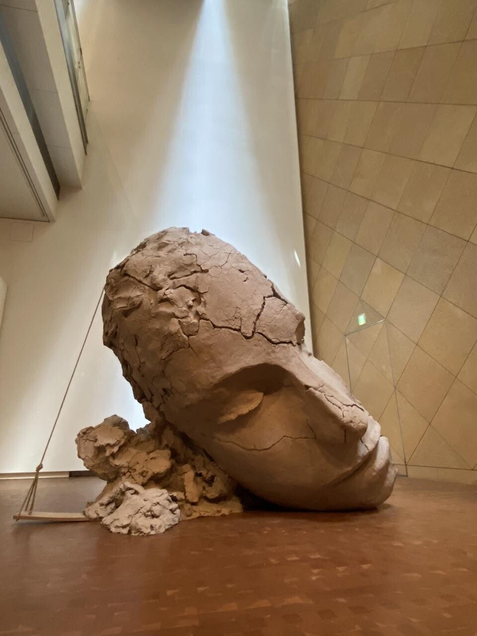 sho-zzzのページ | YAMAP / ヤマップ