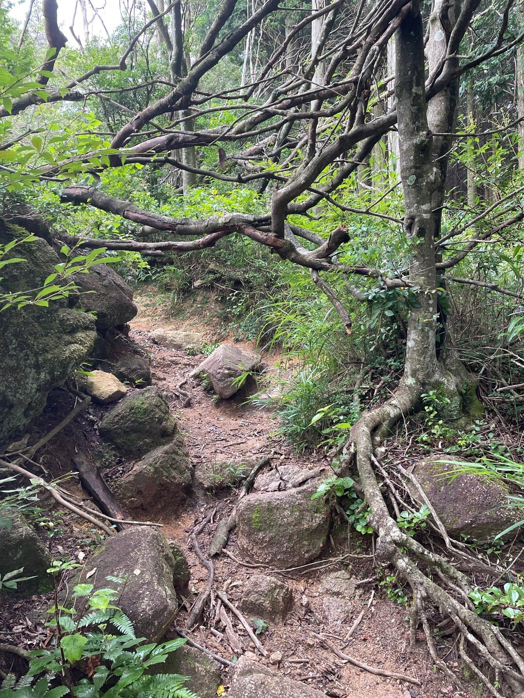 Yusuke Maruさんの投稿したフィールドメモ | YAMAP / ヤマップ