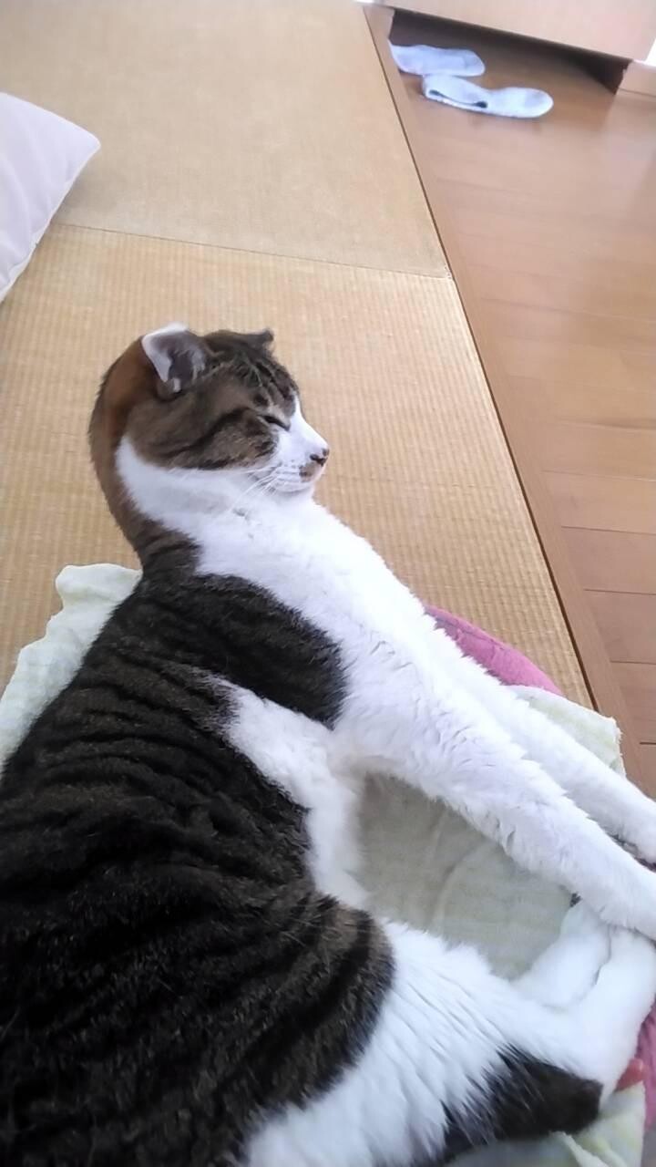 gakuのページ | YAMAP / ヤマップ