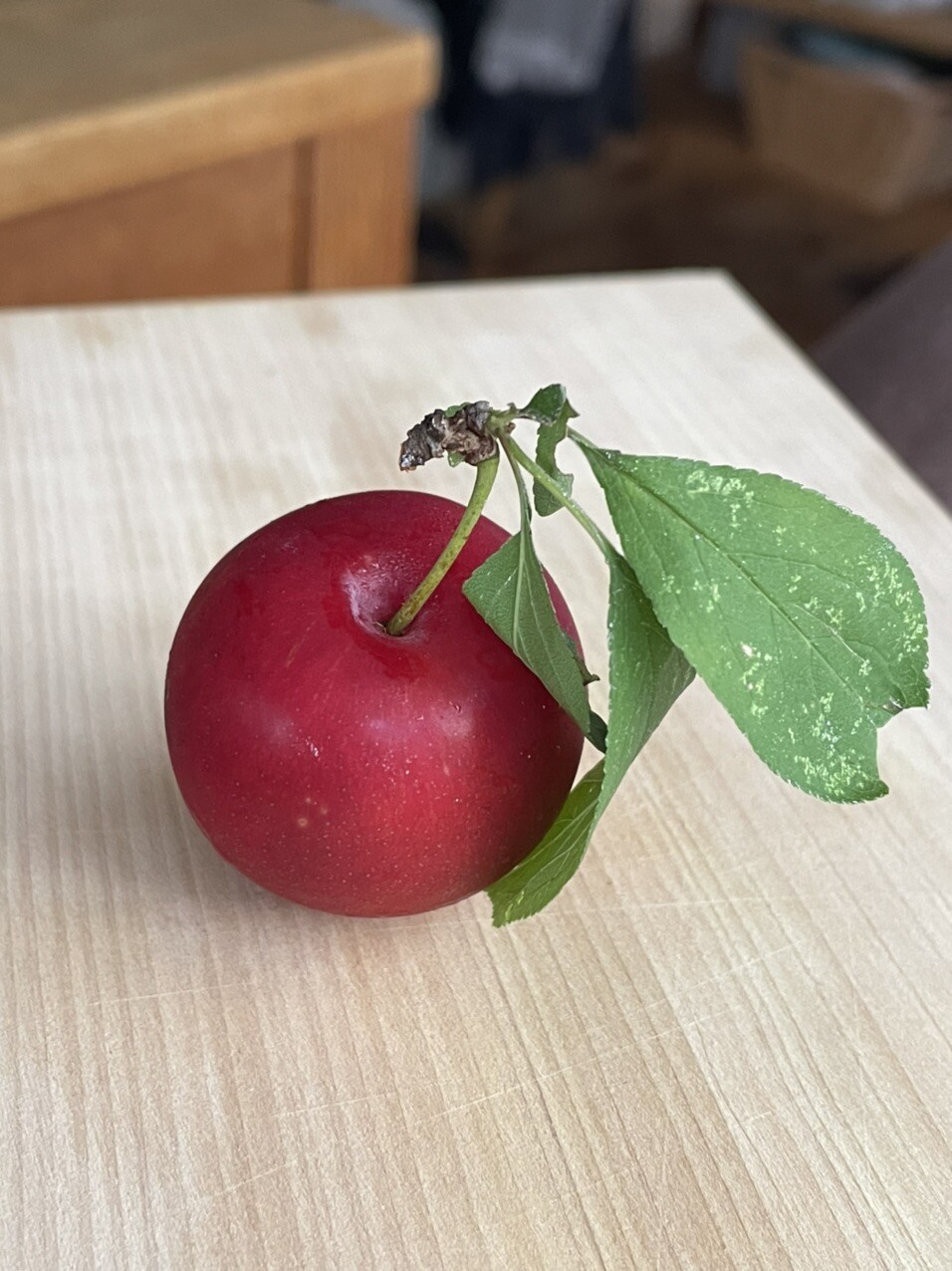 se-ko613のページ | YAMAP / ヤマップ