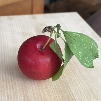 se-ko613のページ | YAMAP / ヤマップ