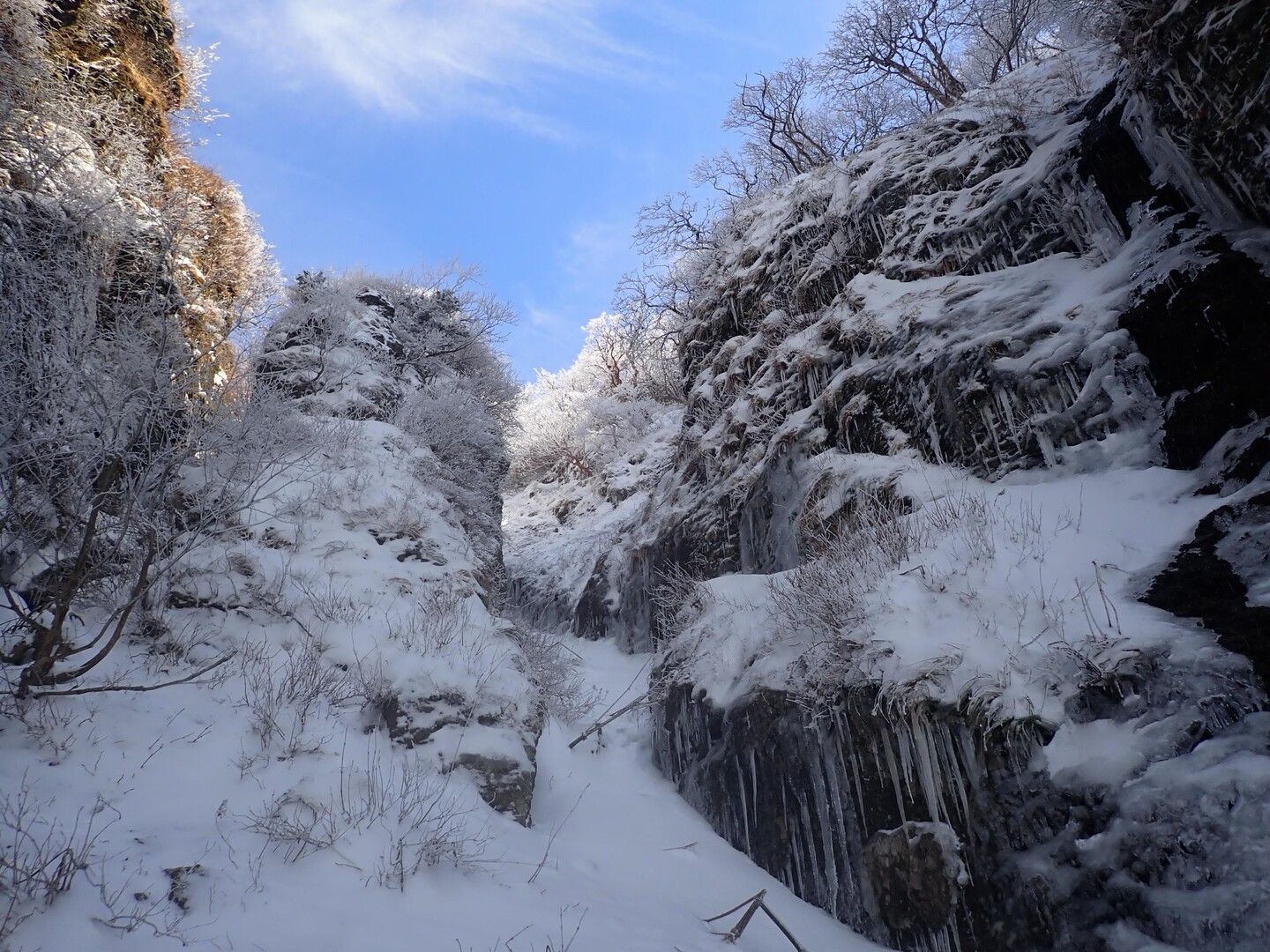 大日キレット / 555さんの観音峯山・大普賢岳・山上ヶ岳・稲村ヶ岳の活動データ | YAMAP / ヤマップ