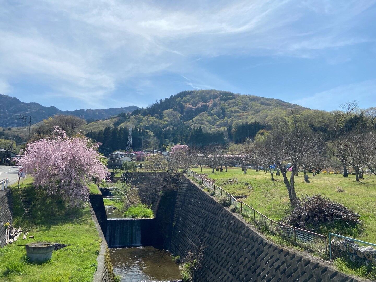 石老山（道志山塊） / kazu-bayさんの石老山・ 石砂山の活動日記 | YAMAP / ヤマップ