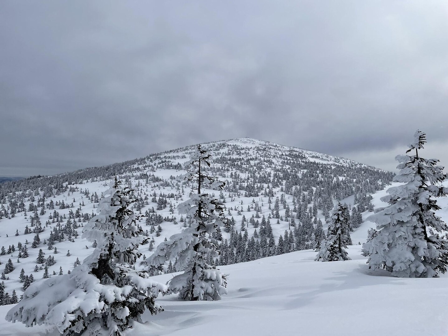 森吉山 / Teaさんの森吉山の活動データ | YAMAP / ヤマップ