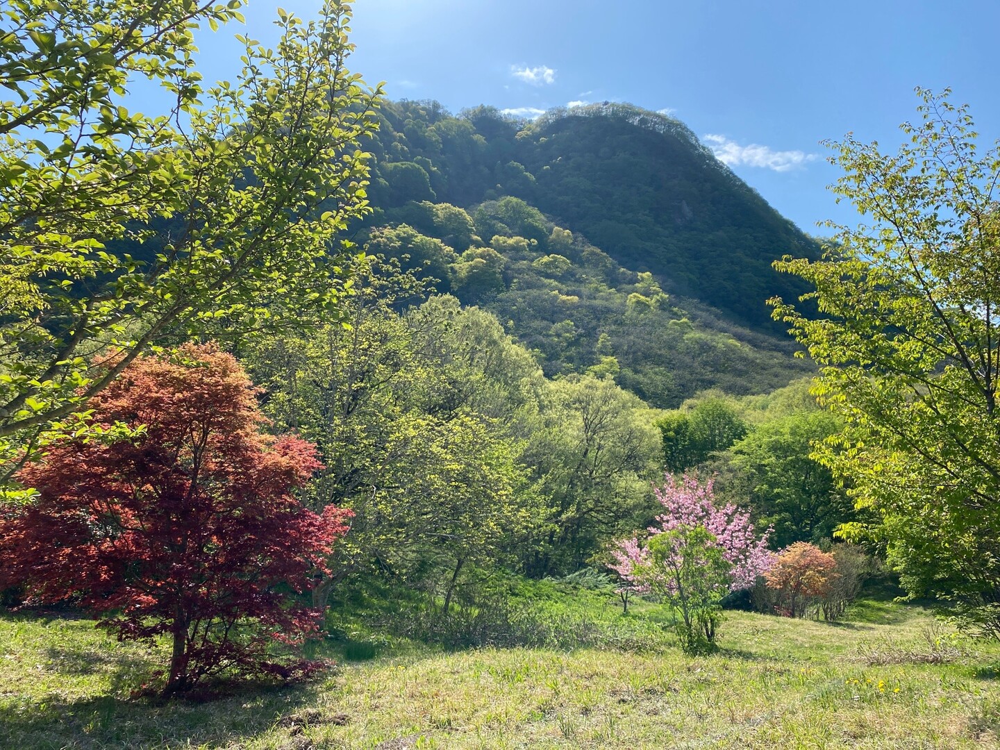 中山(金塚山) / ryuさんの二岐山・大白森山・小白森山の活動データ | YAMAP / ヤマップ