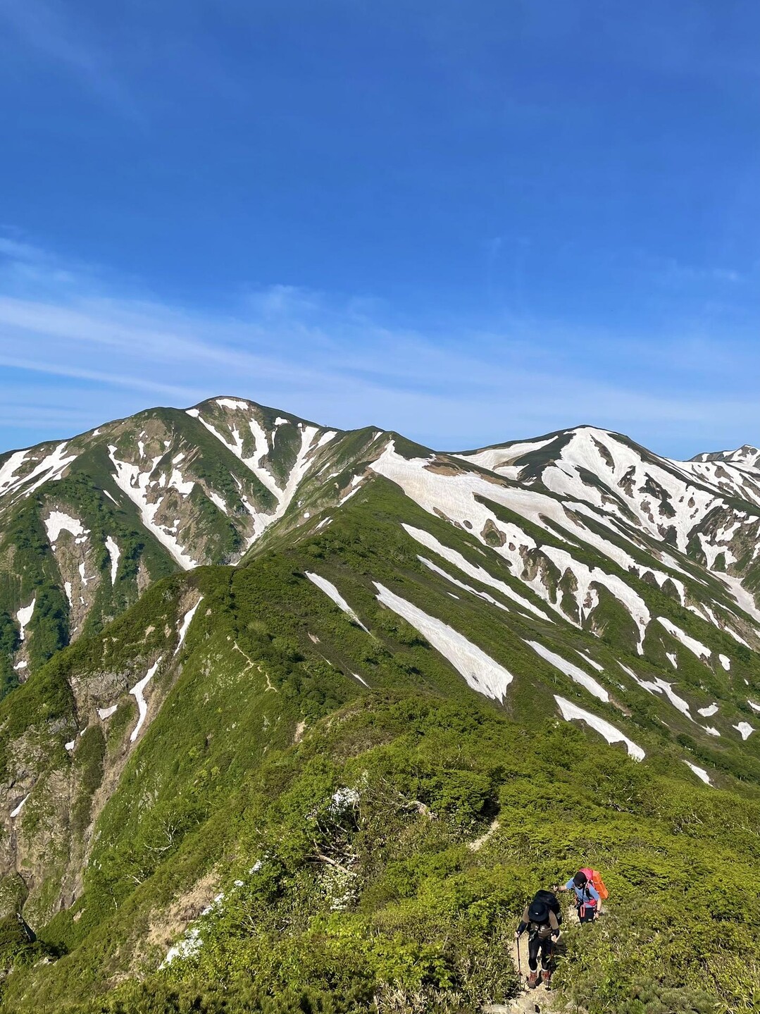 【大朝日岳】まだまだゼブラ模様の連峰軍🦓🦓🦓🦓🦓🦓🦓 / N☆B☆Jさんの大朝日岳・朝日連峰・祝瓶山の活動日記 | YAMAP / ヤマップ