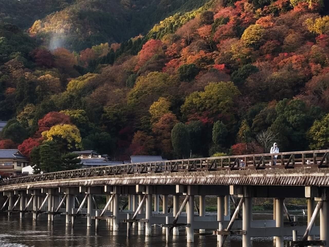 🎵 朝焼けに山粧うは嵐山 悟空2... / 京悟空さんのモーメント | YAMAP / ヤマップ