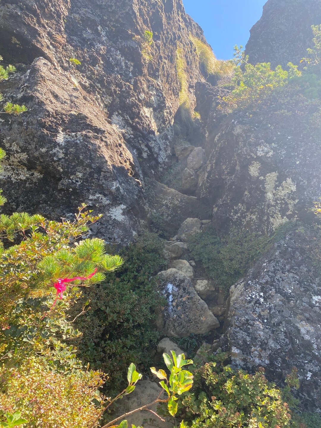 TOSHIさんの投稿したフィールドメモ | YAMAP / ヤマップ