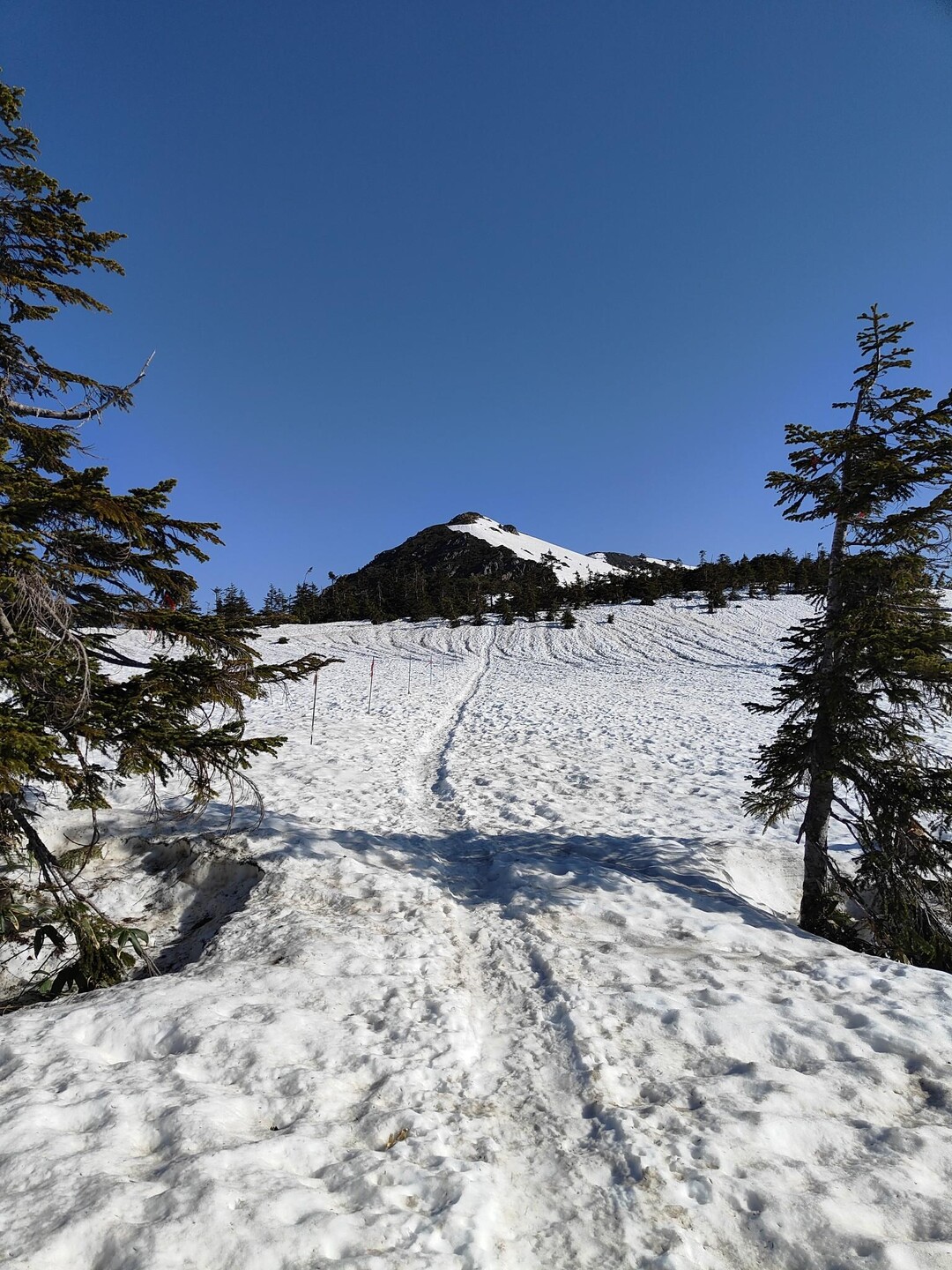 悪沢岳・小至仏山・至仏山 / ukeyさんの尾瀬・至仏山・悪沢岳・笠ヶ岳の活動データ | YAMAP / ヤマップ