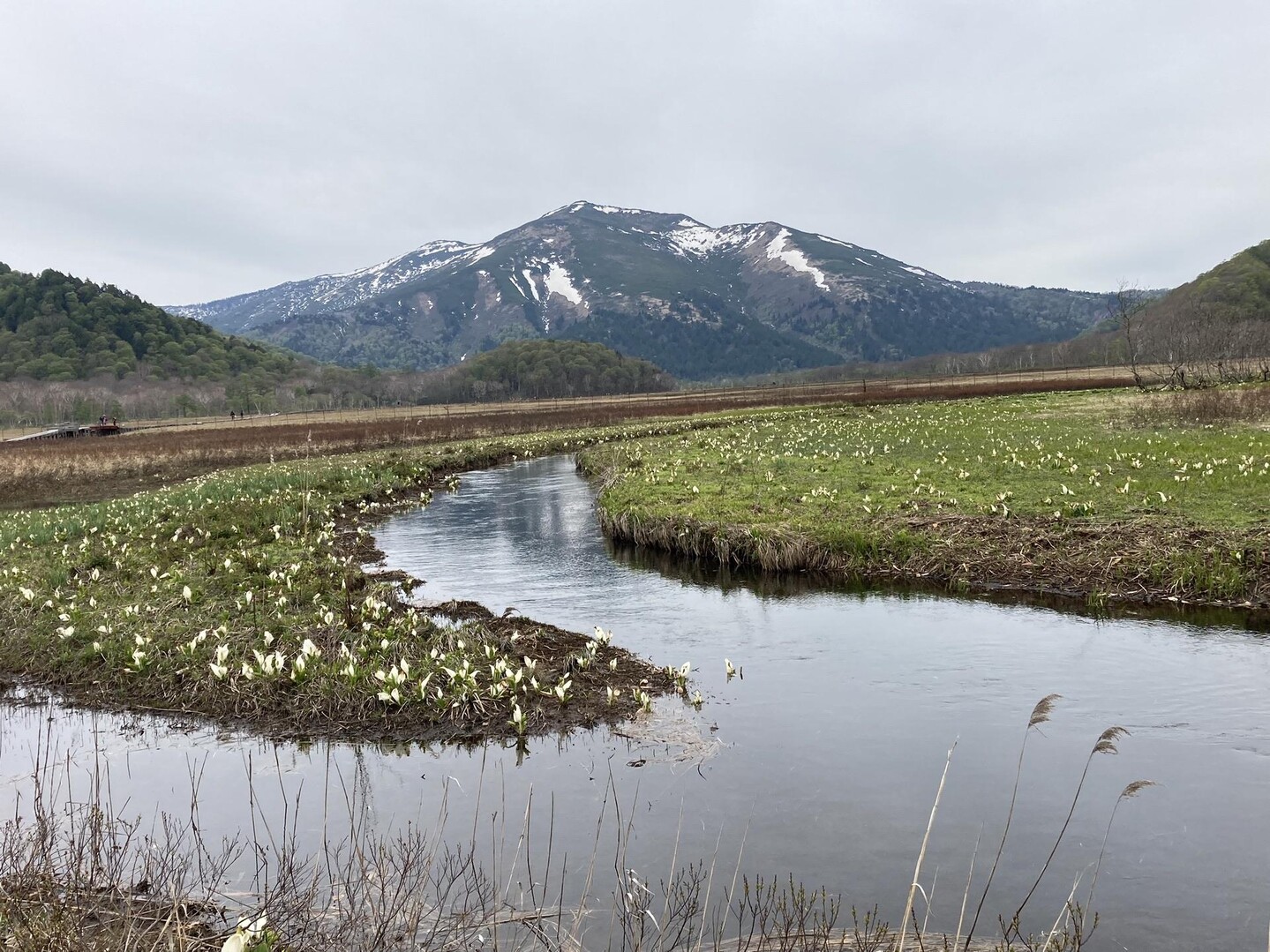尾瀬ヶ原 尾瀬小屋でステーキ丼じゃぁ‼️ / BONDIさんのウォーキングの活動データ | YAMAP / ヤマップ