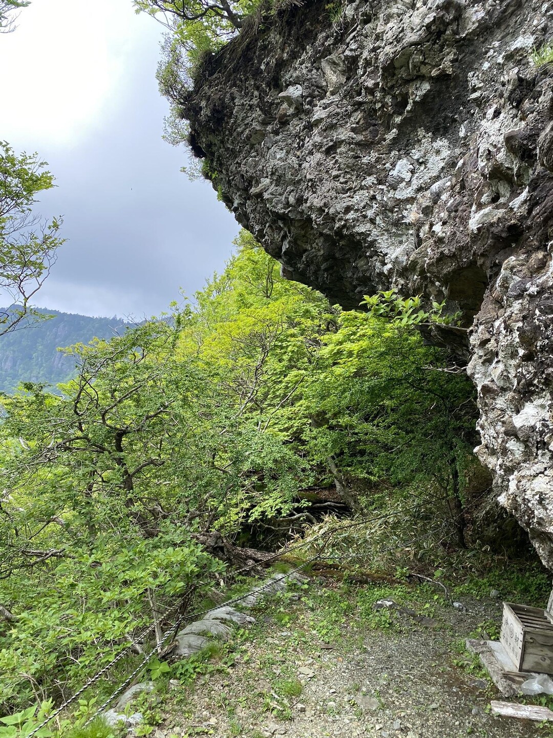 子持権現山 / a24さんの瓶ヶ森・伊予富士の活動データ | YAMAP / ヤマップ