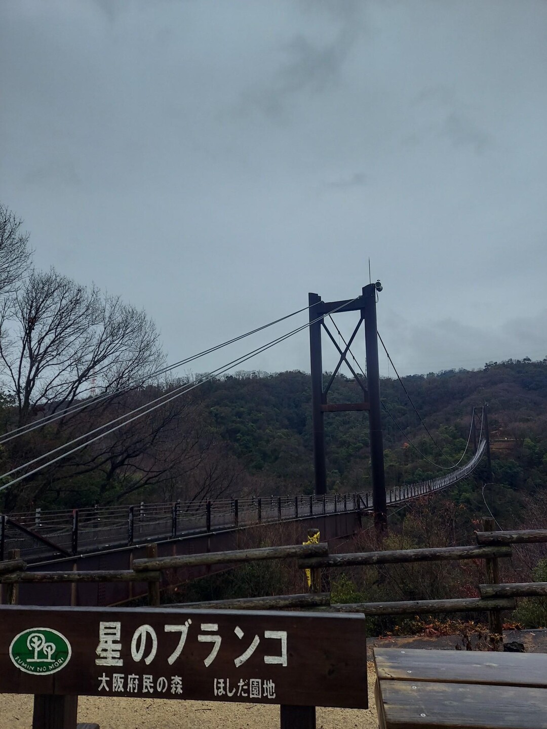 星田連山49座 / AKEMIさんの交野山・国見山の活動データ | YAMAP / ヤマップ