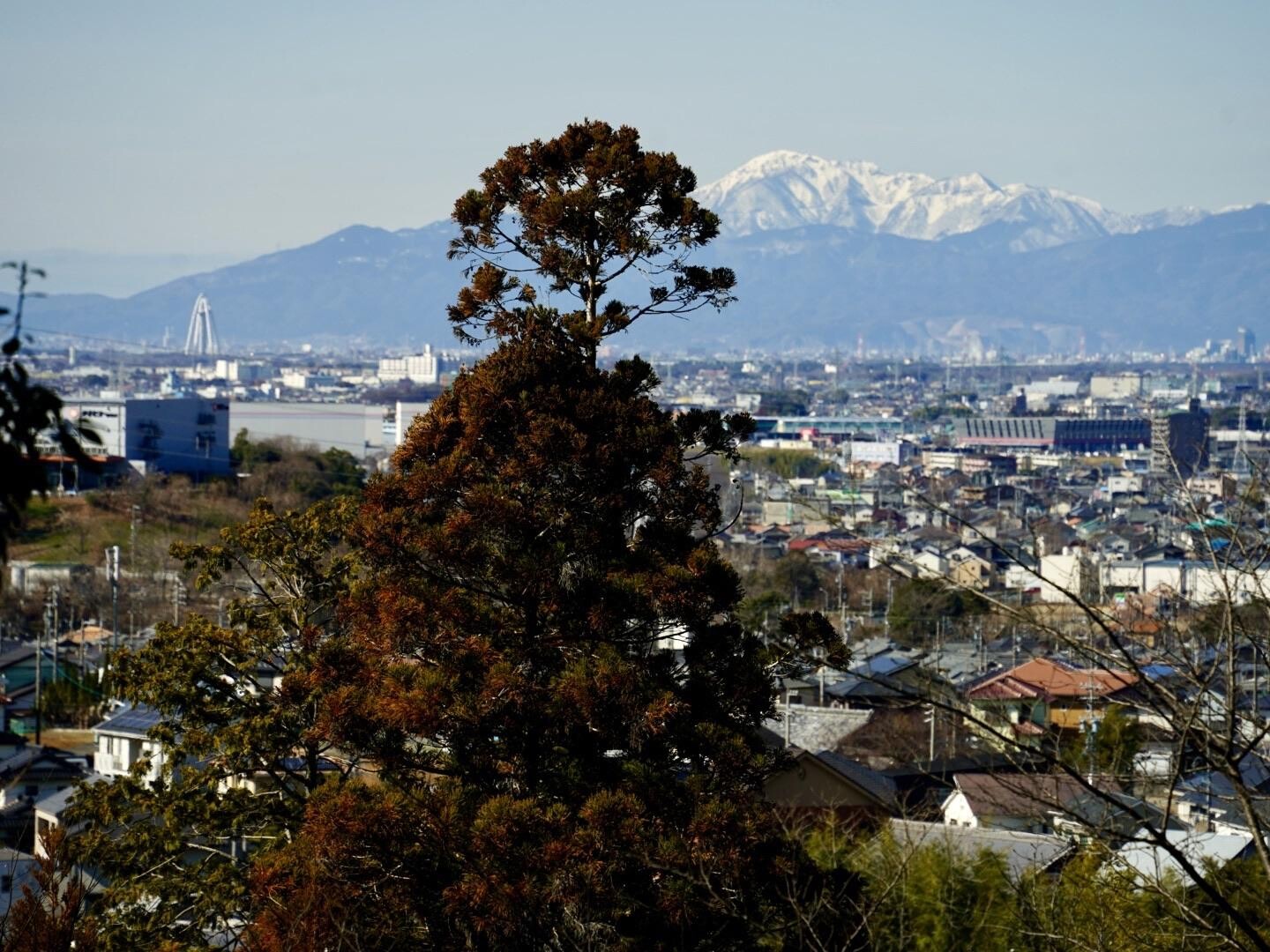 尾張富士 / kaoさんの尾張富士・尾張本宮山・尾張白山の活動日記 | YAMAP / ヤマップ