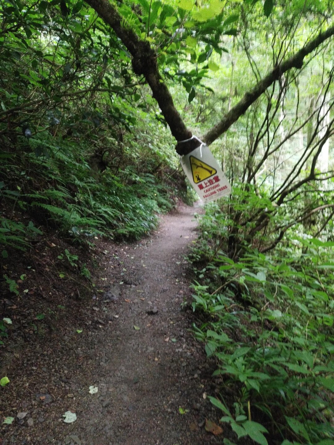 kuma3016さんの投稿したフィールドメモ | YAMAP / ヤマップ