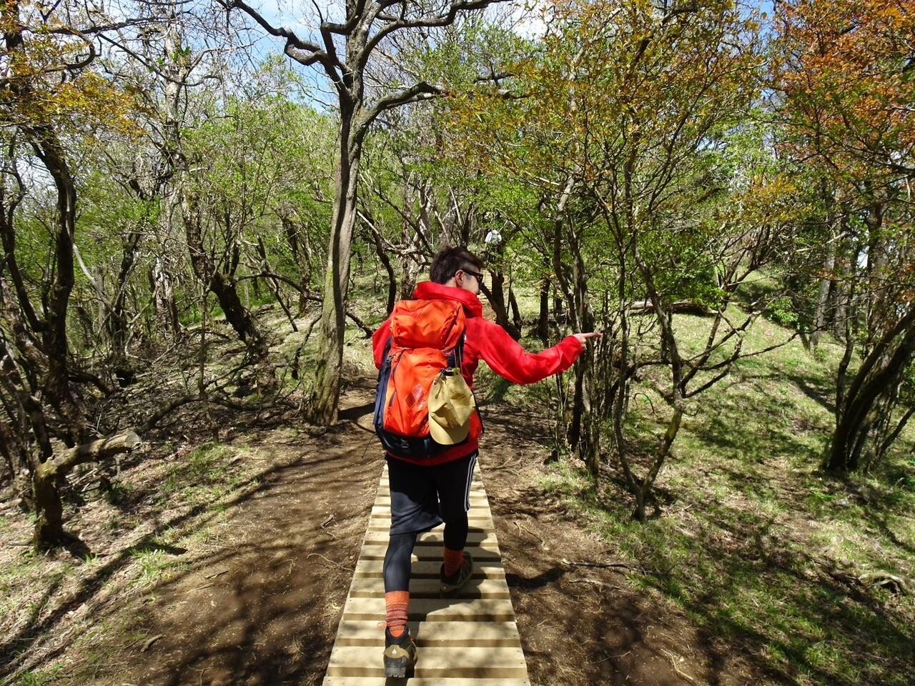 慎のページ | YAMAP / ヤマップ