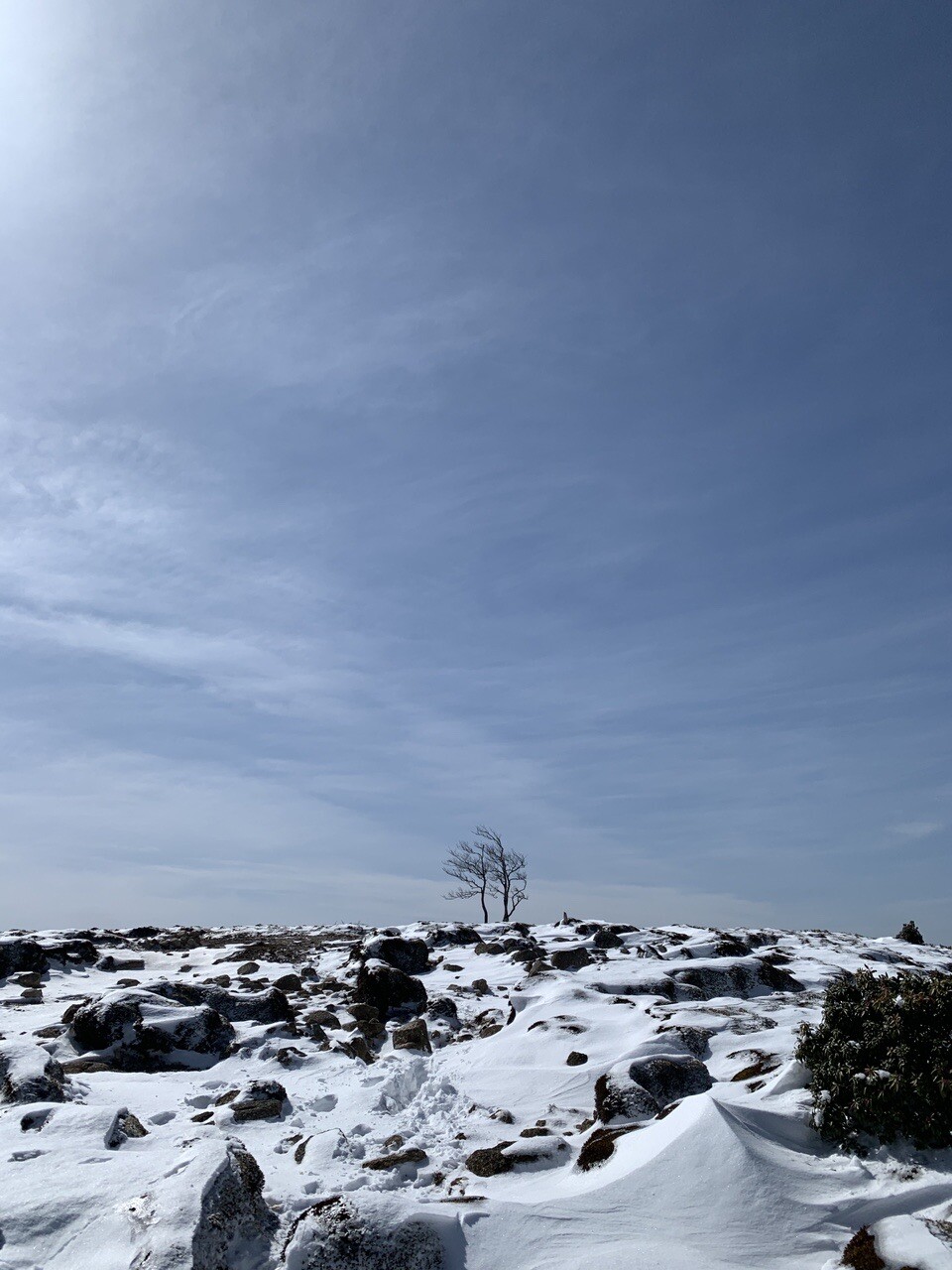 銚子ヶ口からのイブネトレーニング / nabettiさんの釈迦ヶ岳の活動データ | YAMAP / ヤマップ