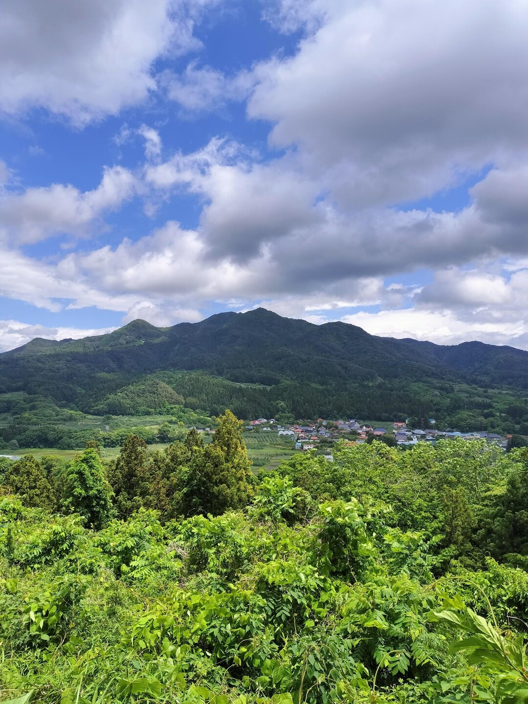 ラビリンス名久井岳 / piroさんの南昌山・東根山・箱ヶ森の活動データ | YAMAP / ヤマップ