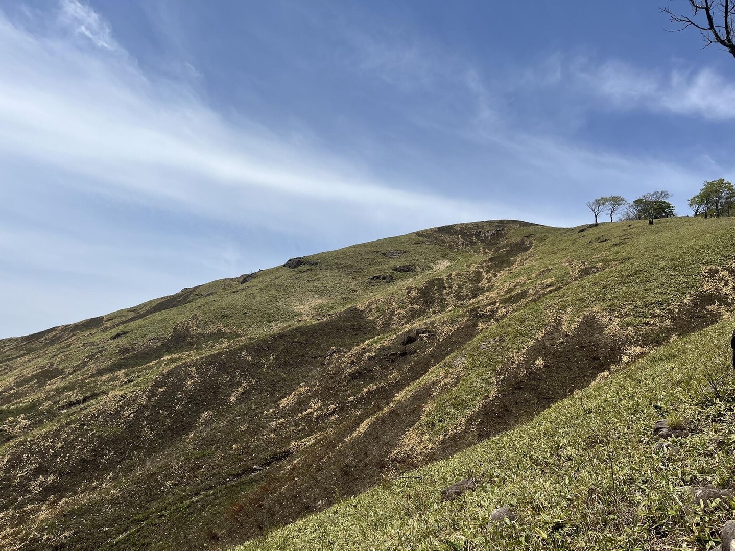 山焼き後の深入山 / Mt.masuさんの深入山の活動データ | YAMAP / ヤマップ
