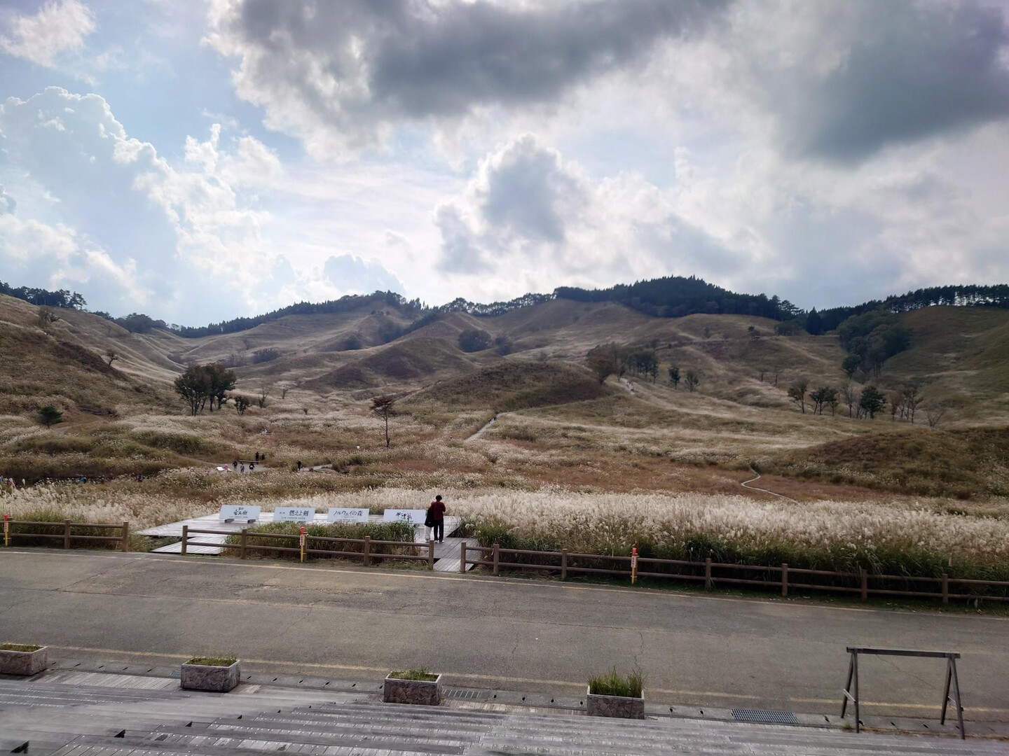 砥峰高原-2023-10-27 / Ken16さんの段ヶ峰・笠杉山・千町ヶ峰の活動データ | YAMAP / ヤマップ