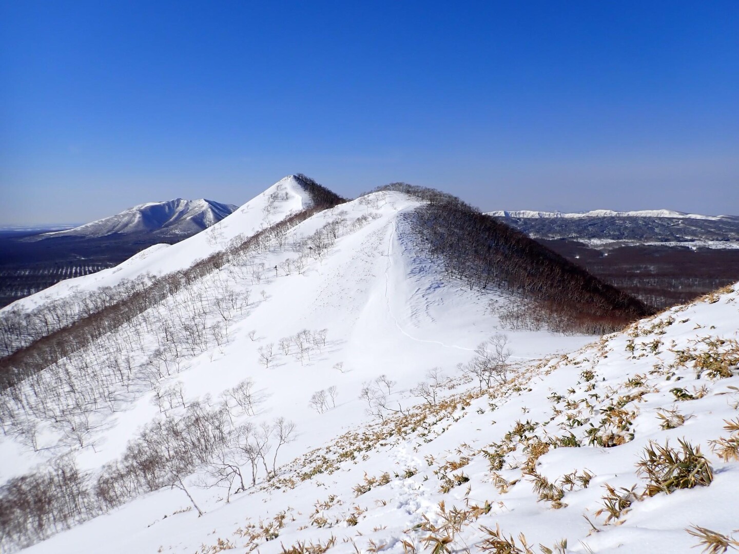 温泉富士 / moneさんの養老牛岳の活動データ | YAMAP / ヤマップ