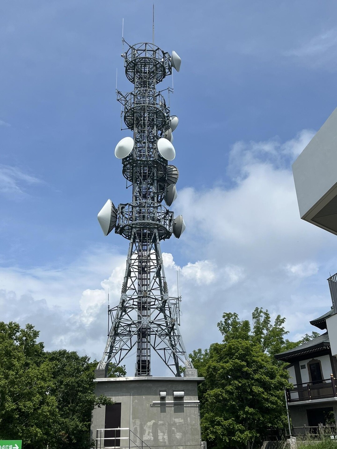 藻岩山 2023.6.29 青天☀️ / mappyさんの藻岩山の活動データ | YAMAP / ヤマップ