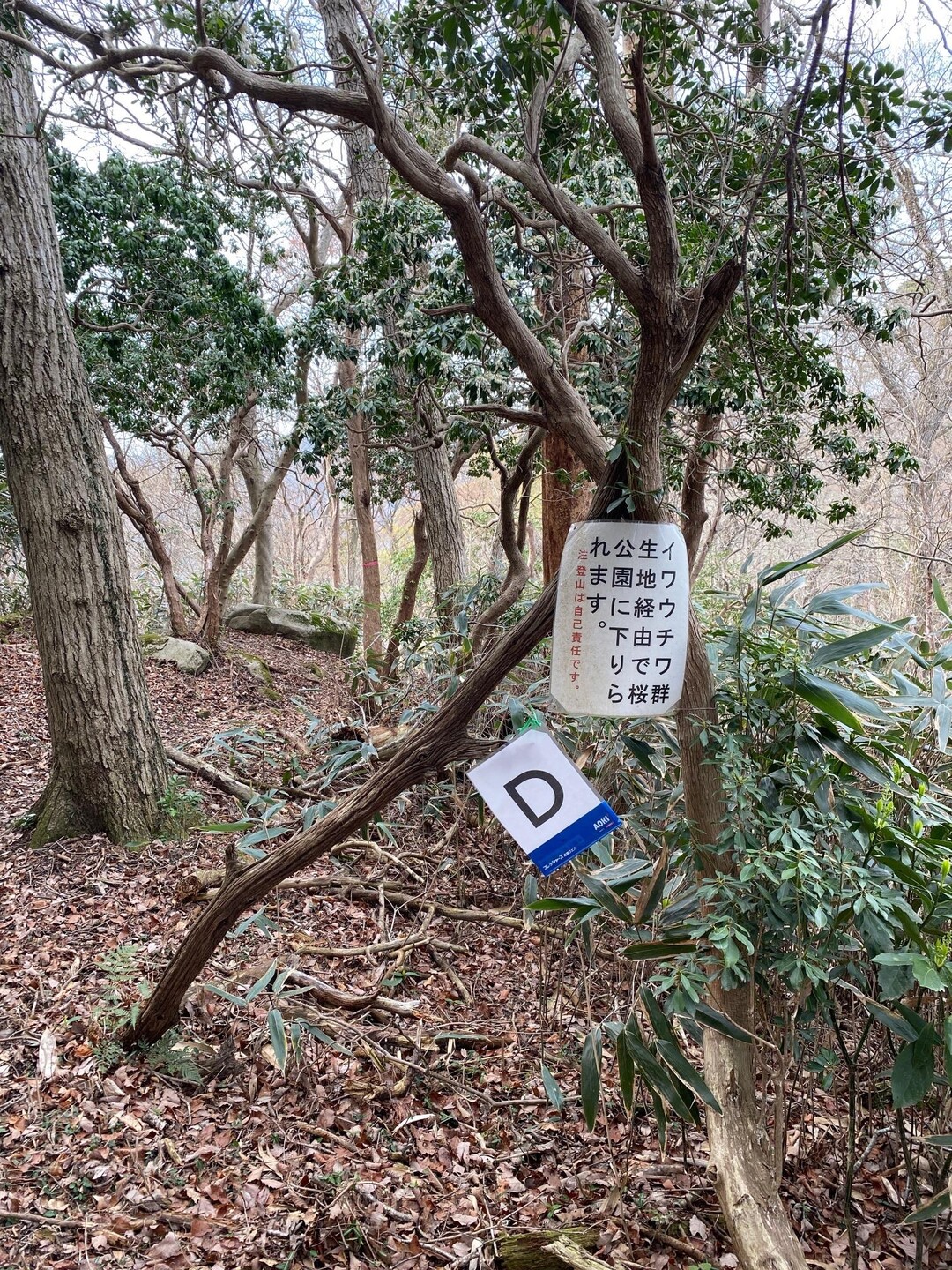 横根山 読図ポイント設置-2023-03-31 / wariさんの土岳・花貫渓谷・竪破山の活動データ | YAMAP / ヤマップ