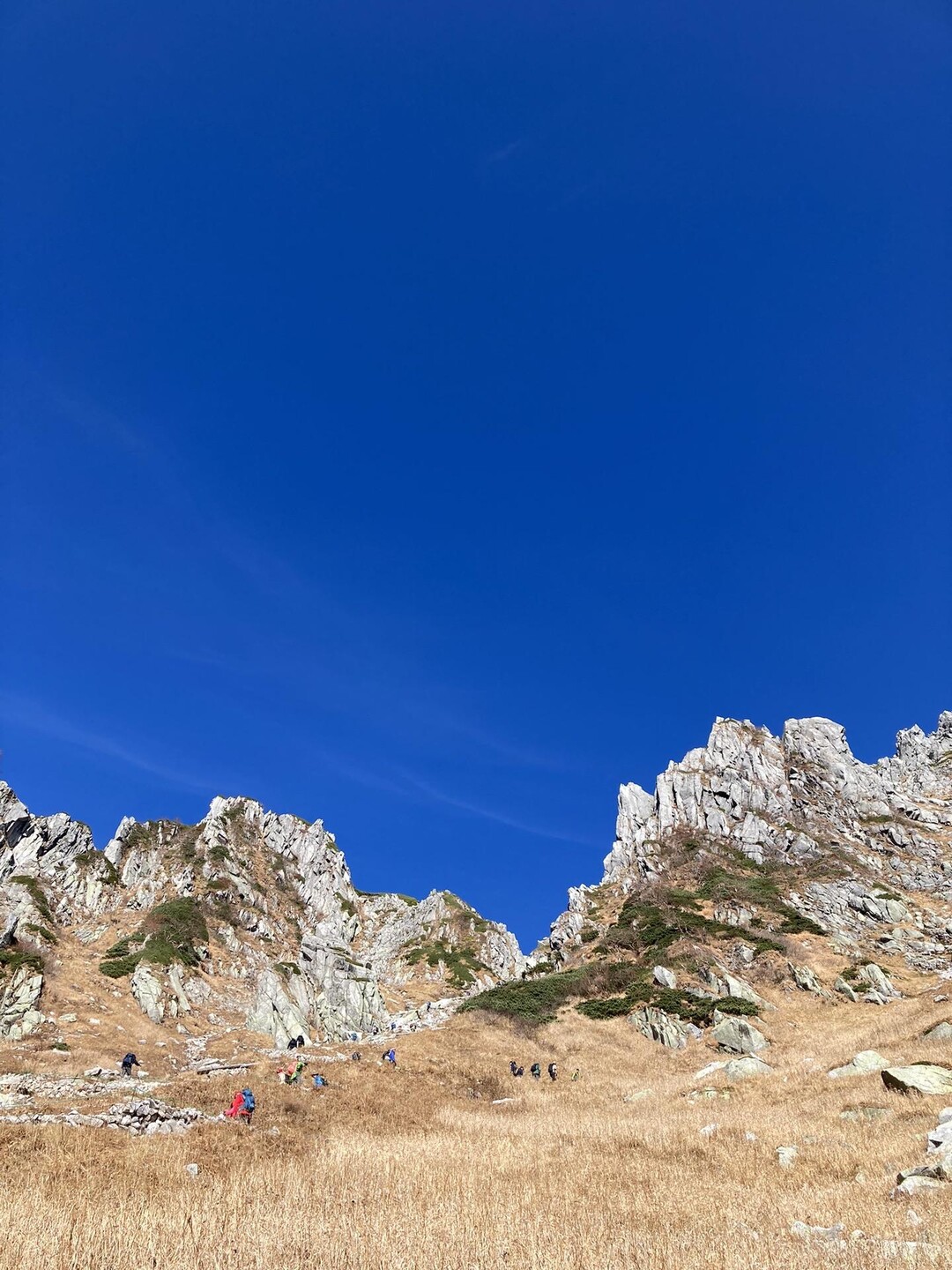 木曽駒ヶ岳（西駒ヶ岳）・中岳・伊那前岳 / Miho （southern breeze）さんの木曽駒ヶ岳・空木岳・越百山の活動データ | YAMAP / ヤマップ