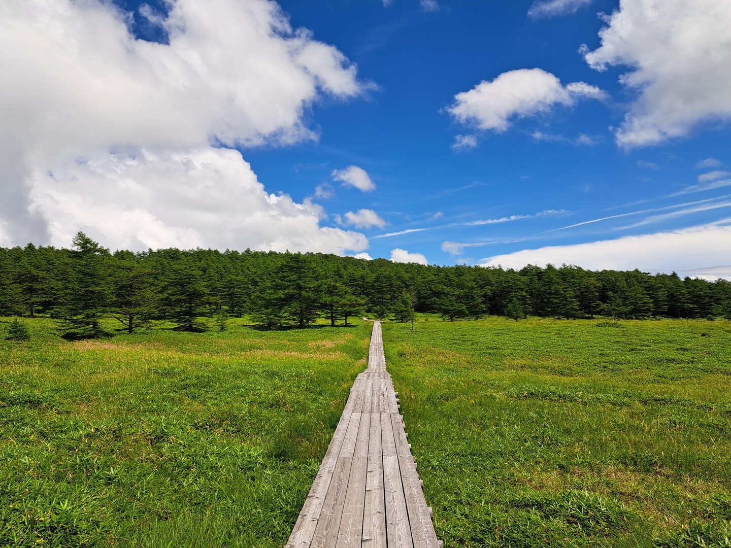 篭ノ登山(東篭ノ登山)・西篭ノ登山・水ノ塔山・池ノ平湿原散策 ️ / Erinaさんの湯ノ丸山・角間山・鍋蓋山の活動データ | YAMAP / ヤマップ