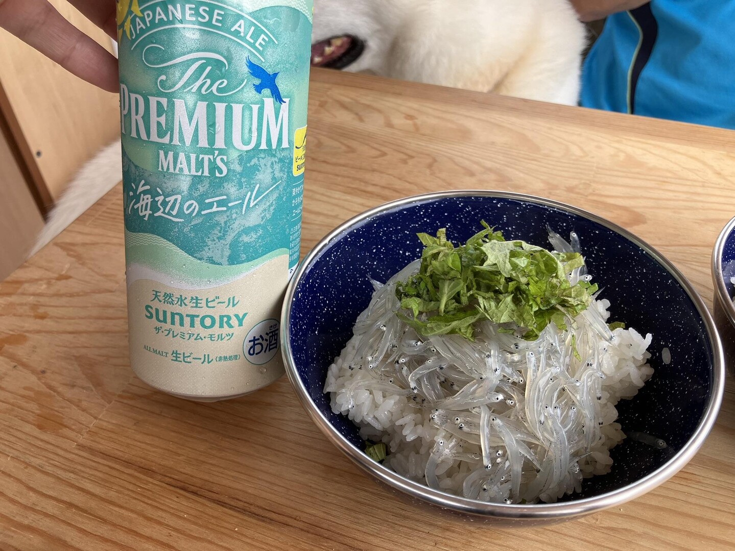 午後半休にして用宗で友人とカヤック遊び ... / Rさんのモーメント | YAMAP / ヤマップ